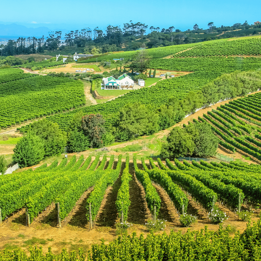 Dekadal Agromet Bulletin